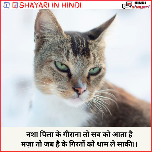 Pakistani Shayari - पाकिस्तानी शायरी » Shayari in Hindi