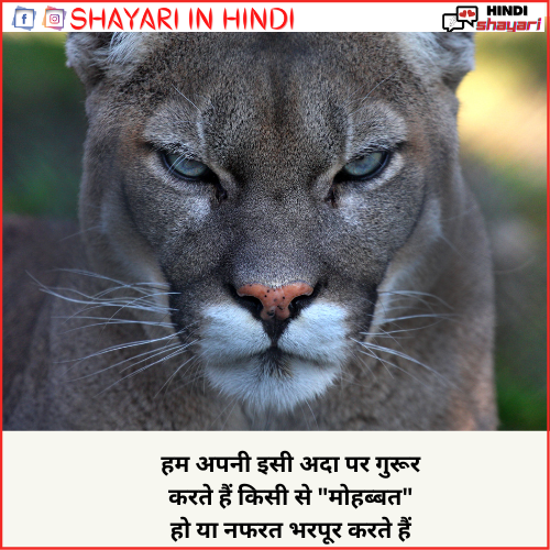 Hindi sher Shayari - हिंदी शेर शायरी » Shayari in Hindi